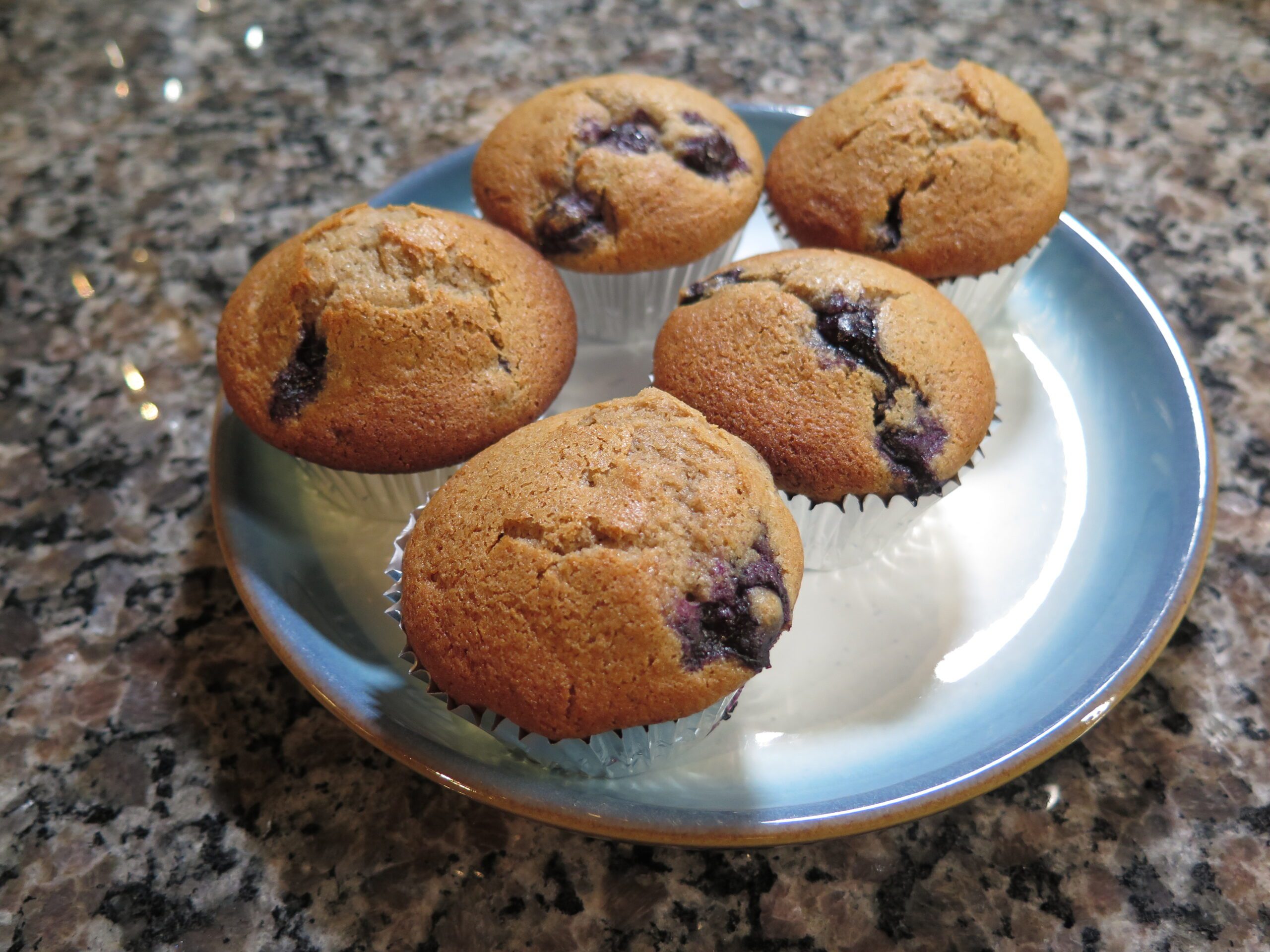 Easy to Make Blueberry Honey Whole Wheat Muffins